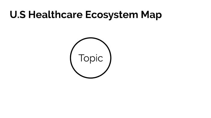 U.S Healthcare Ecosystem Map by Matt Geary on Prezi