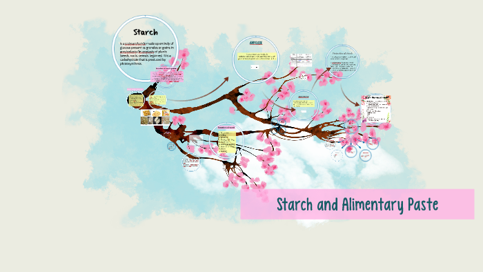 Starch and Alimentary Paste by Lea Michaela on Prezi