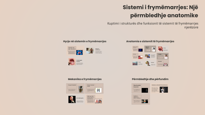 Sistemi respirator by Mjellma Elezi on Prezi