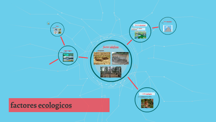 factores ecologicos by kelly johanna nuñez martinez on Prezi