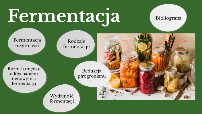 fermentacja by Zuzanna Chodnicka on Prezi