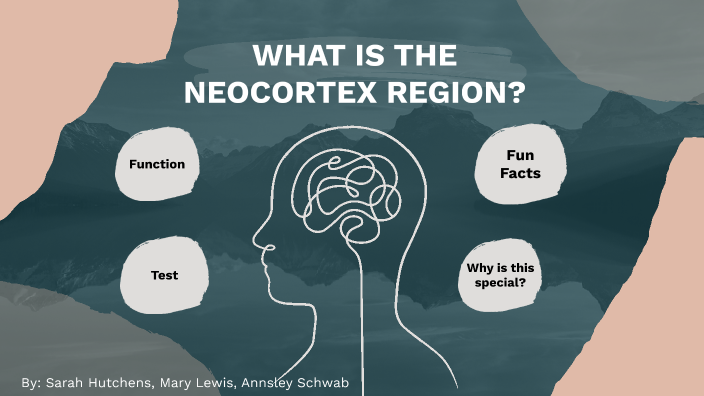 The Neocortex Region by Sarah Hutchens on Prezi