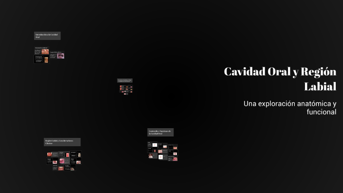Cavidad Oral y Región Labial by Jose Amesquita on Prezi