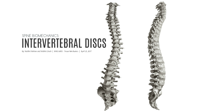 SPINAL TISSUE MECHANICS by Mahlet Zinah