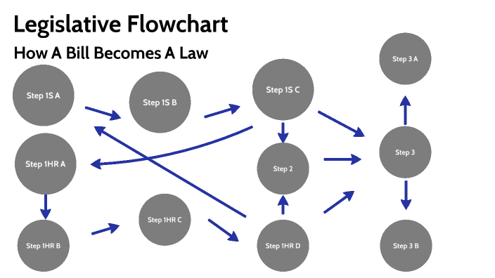Legislative Flowchart by Alexandra White on Prezi