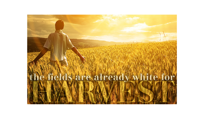 hjklh by Ron Barnett on Prezi