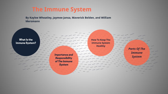 Health Project- Immune System by william mersmann on Prezi