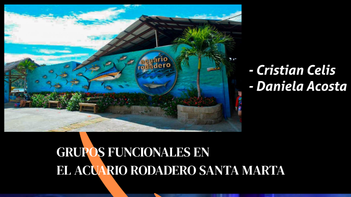 Acuario Santa Marta by Cristian Celis on Prezi