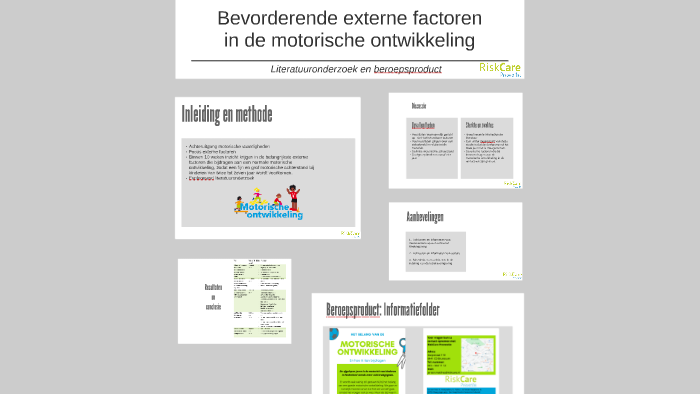 Bevorderende externe factoren in de motorische ontwikkeling by Esmée ...