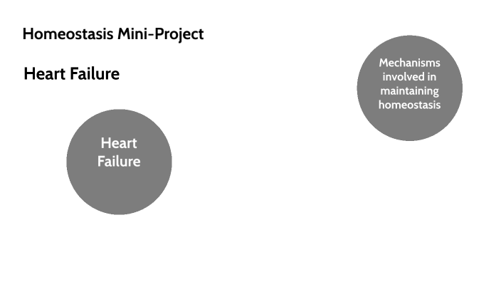 Homeostasis Mini-Project by Rebecca Palmer on Prezi