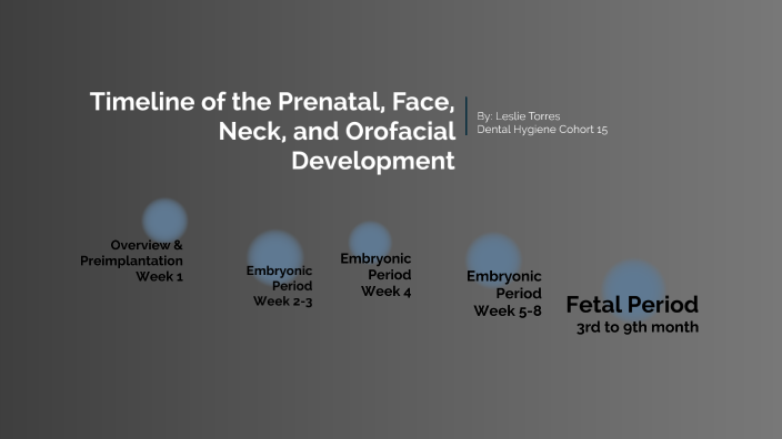 Timeline of the Prenatal, Face, Neck and Orofacial Development by ...