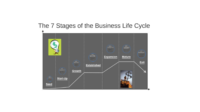 The 7 Stages of Business Cycle by Alice Mu on Prezi
