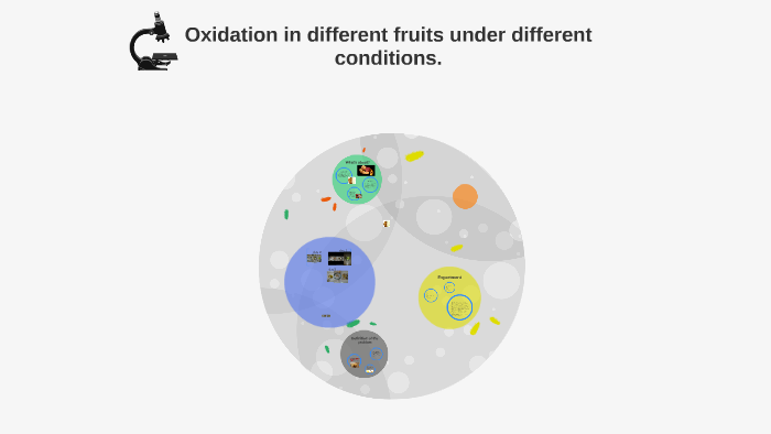 oxidation in different fruits under different conditions oxi by rodrigo ...