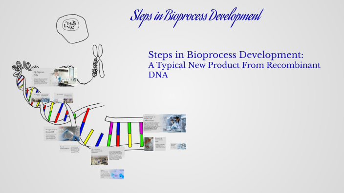 Steps in Bioprocess Development by Rakesh Kumar V on Prezi