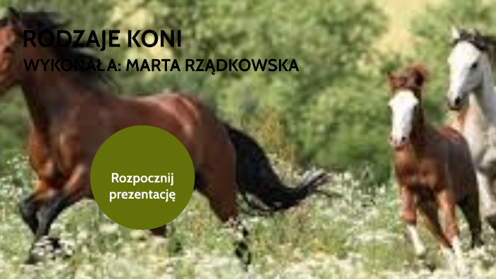 RODZAJE KONI by Marta Rządkowska on Prezi