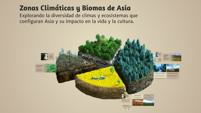 Zonas Climáticas y Biomas de Asia by Soledad Mora on Prezi