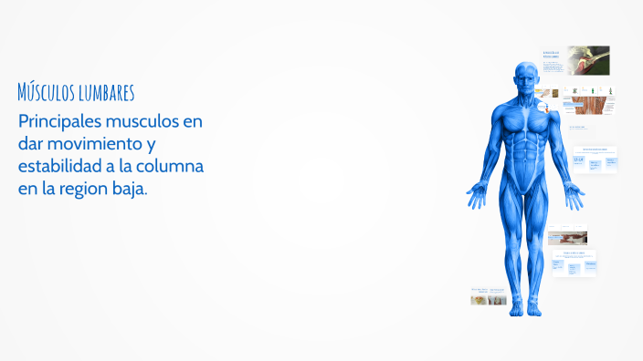 Músculos lumbares by Paola Esmeralda Lozano Lopez on Prezi