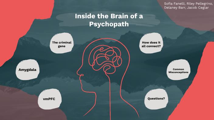 Inside the Brain of a Psychopath by Sofia Fanelli on Prezi