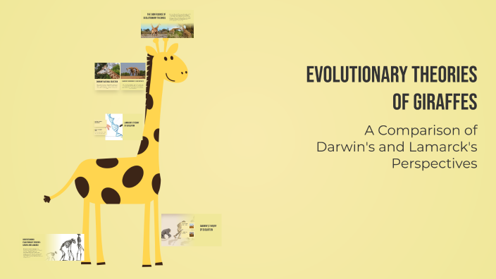 Evolutionary Theories of Giraffes by Noor Learato on Prezi