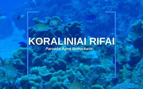 KORALINIAI RIFAI by Agne Buinickaite on Prezi
