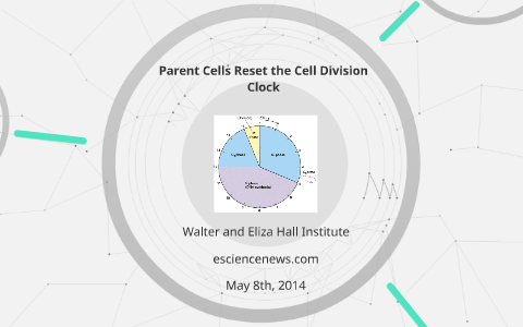 Parent Cells Reset the Cell Division Clock by Brett Casey on Prezi