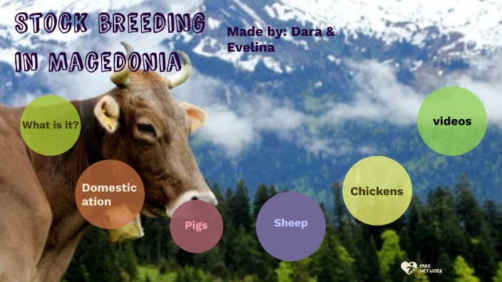 Stockbreeding by Evelina S on Prezi
