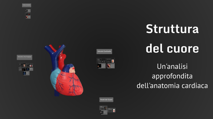 Struttura del cuore by Federico Di Loreto on Prezi
