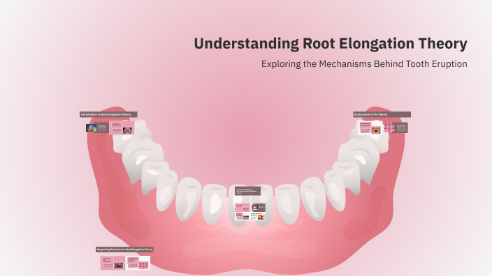 Understanding Root Elongation Theory by mohamed abdelaal on Prezi