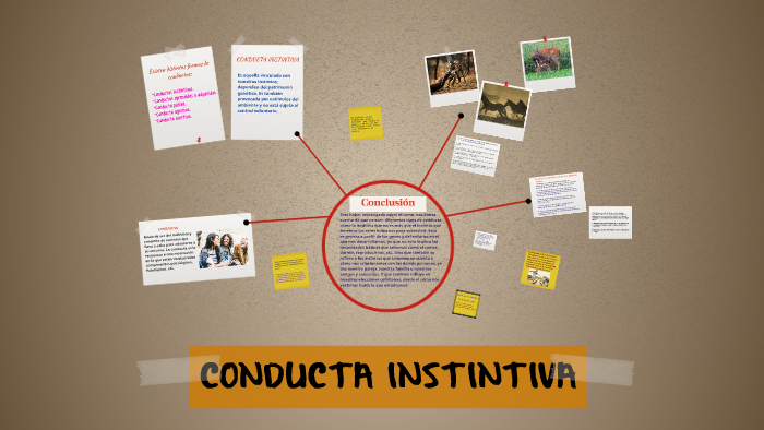 CONDUCTA INSTINTIVA by Alejandra Veronica Rusher on Prezi