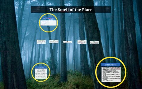 The Smell of the Place by Peter Roelens on Prezi