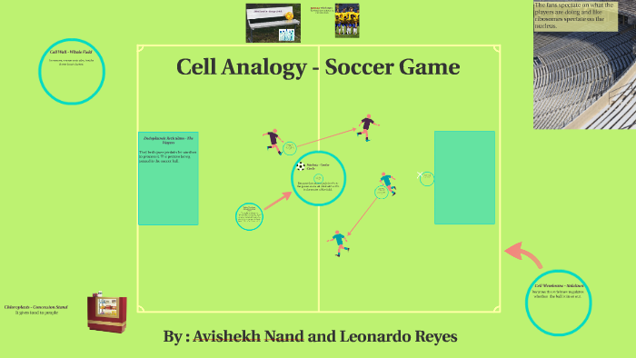 Cell Analogy - Soccer Game by Avishekh and on Prezi