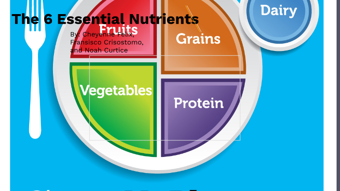 The 6 Essential Nutrients Project by Cheyenne Felix _ Student ...