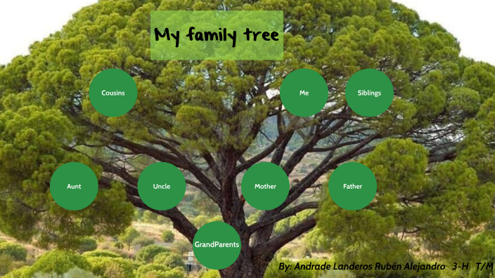 Family Tree by RUBEN ALEJANDRO ANDRADE LANDEROS on Prezi