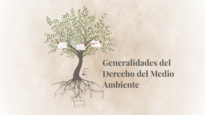 Generalidades y Principios del Derecho del Medio Ambiente Sano by ...