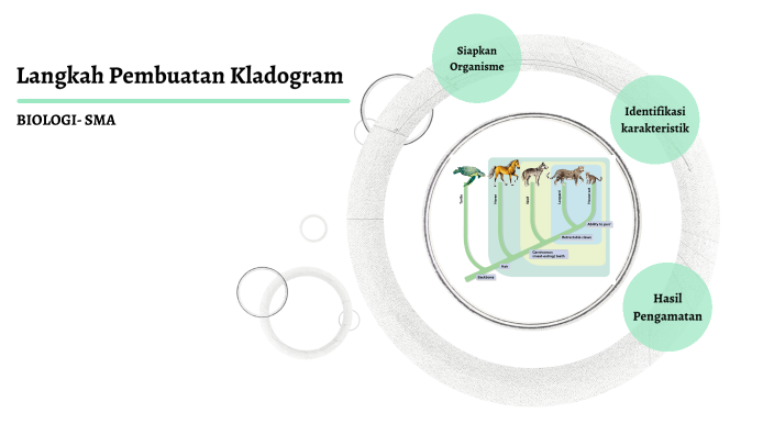 Langkah Pembuatan Kladogram by PURNAMAULIDA PRATIWII on Prezi
