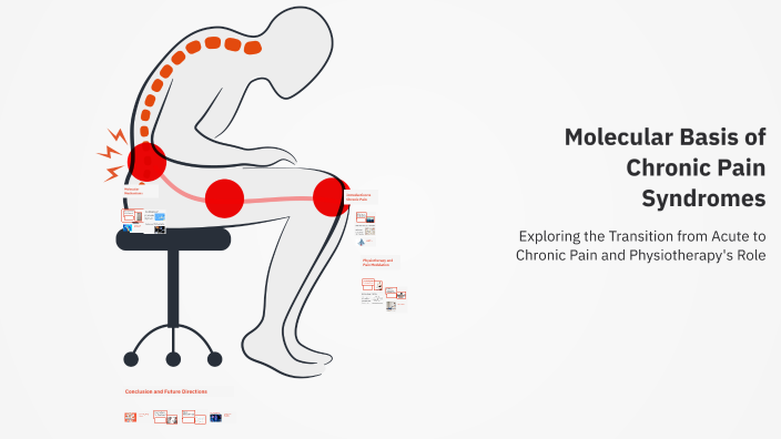 Molecular Basis of Chronic Pain Syndromes by Reza Sh on Prezi
