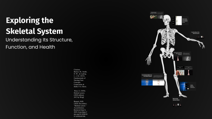 Exploring the Skeletal System by Ariana Clay on Prezi