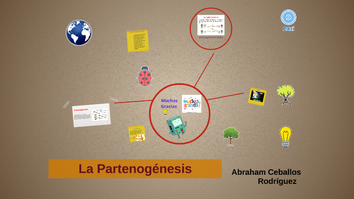 La partenogénesis es una forma de reproducción basada en el by Abraham ...