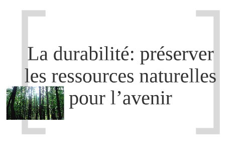 La durabilité: preserver les ressources naturelles pour l'avenir by ...