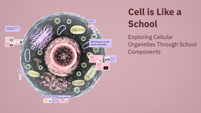 Cell is Like a School by Lakshan Naveen Kumar on Prezi