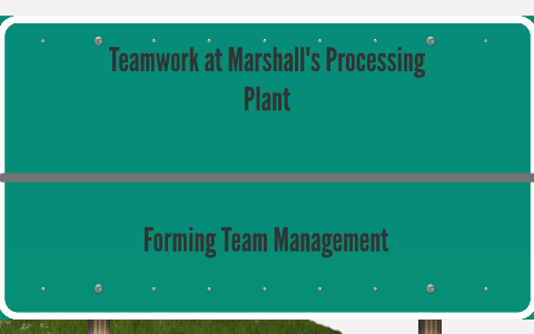 Teamwork at Marshall's Processing Plant by Elizabeth Bracco on Prezi