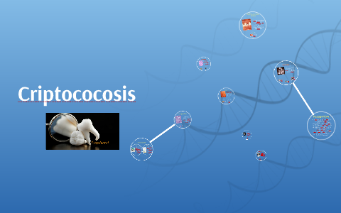 Criptococosis by Sebastian Garcia on Prezi