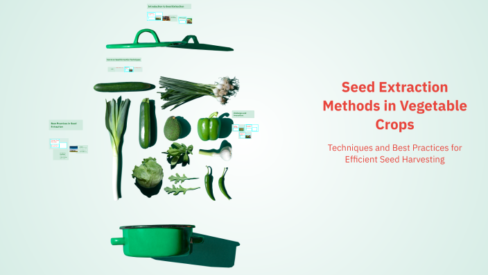 Seed Extraction Methods in Vegetable Crops by Ronak Ageed on Prezi