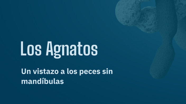Los Agnatos by frank gamboa on Prezi