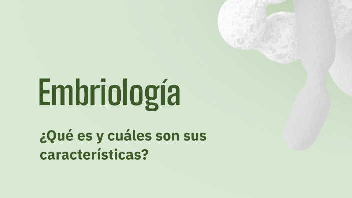 Embriología by Montserrat Medina on Prezi