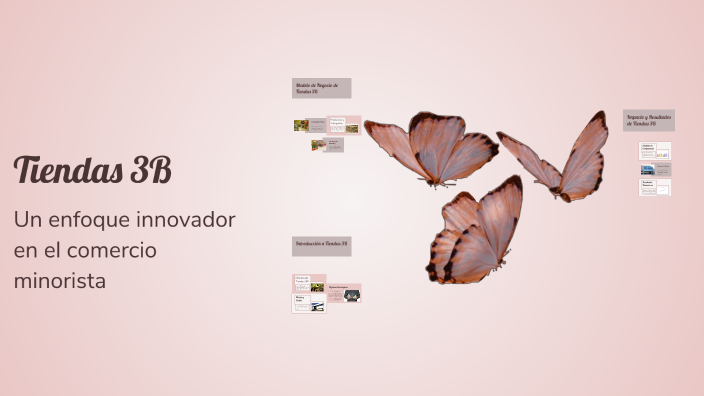 Tiendas 3B by Luis Angel Garduño Castrejon on Prezi