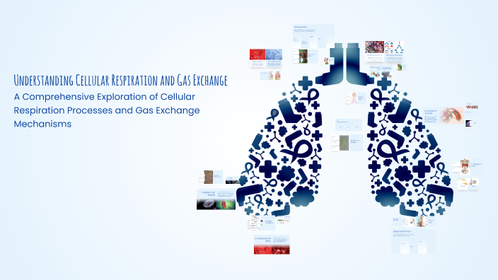 Understanding Cellular Respiration and Gas Exchange by Rob Gama on Prezi