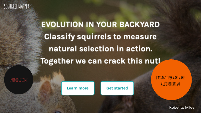 Squirrel Mapper by Roberto MIlesi on Prezi