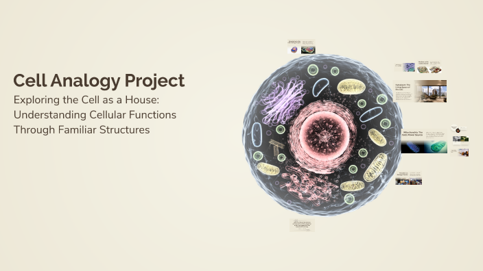 Cell Analogy Project by domog2222@gmail.com domog2222@gmail.com on Prezi