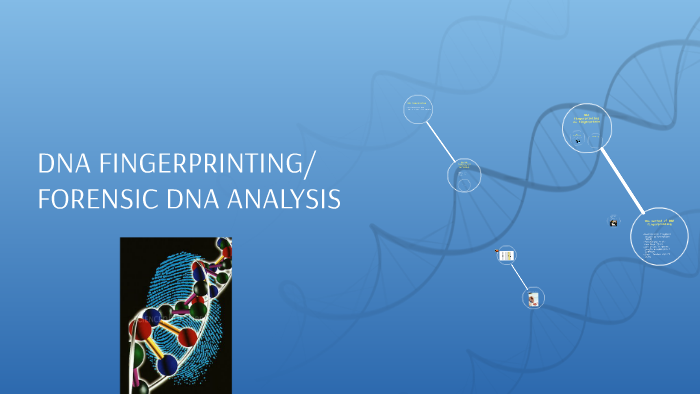 DNA FINGERPRINTING/ FORENSIC DNA ANALYSIS by chan lok woon on Prezi